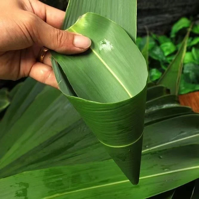 Alibaba.com: Biodegradable Disposable Dining Table Sushi Sashimi ...