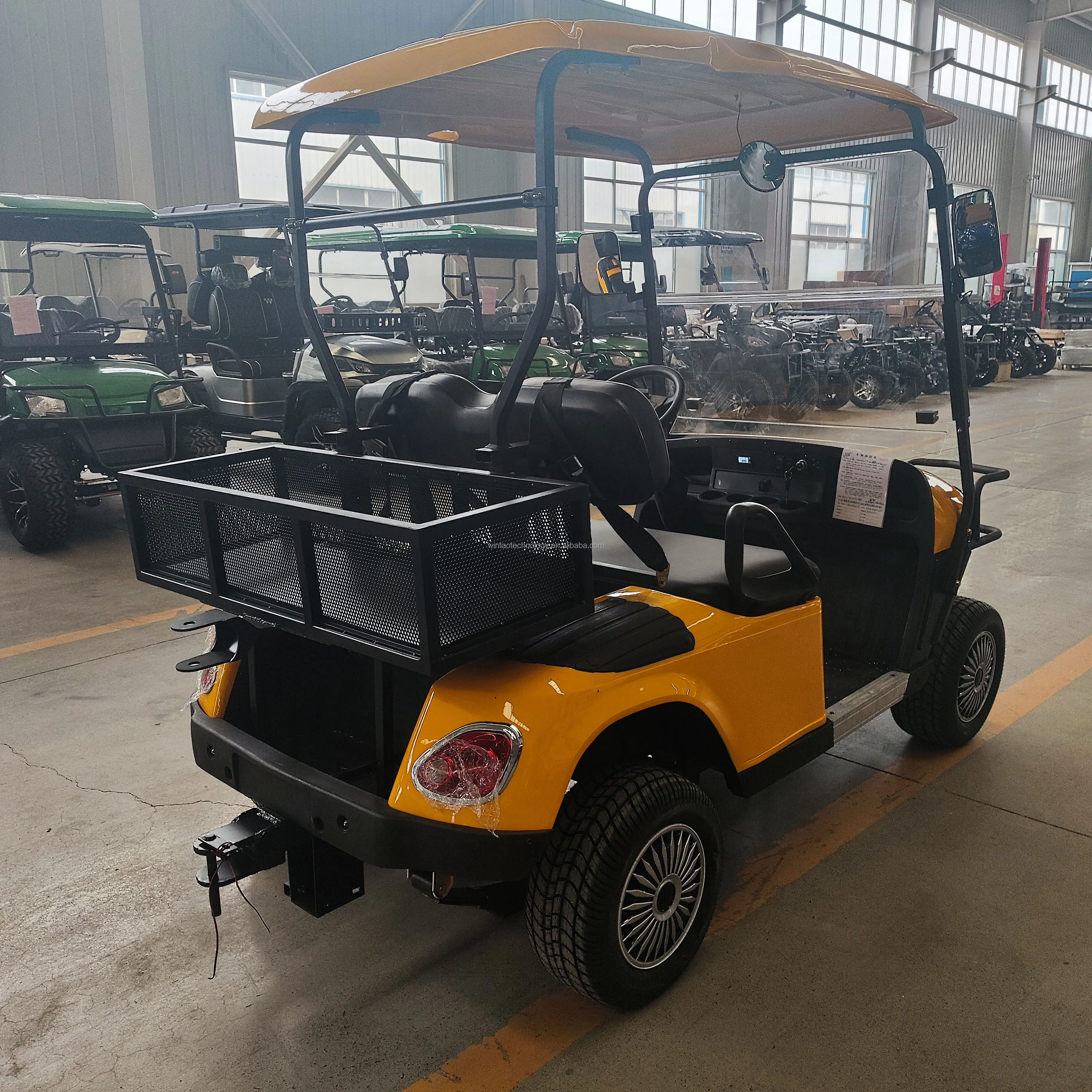 WINTAO 2025 Club Golf Cart Lifted 2 Passenger Golf Cart with Cargo ...