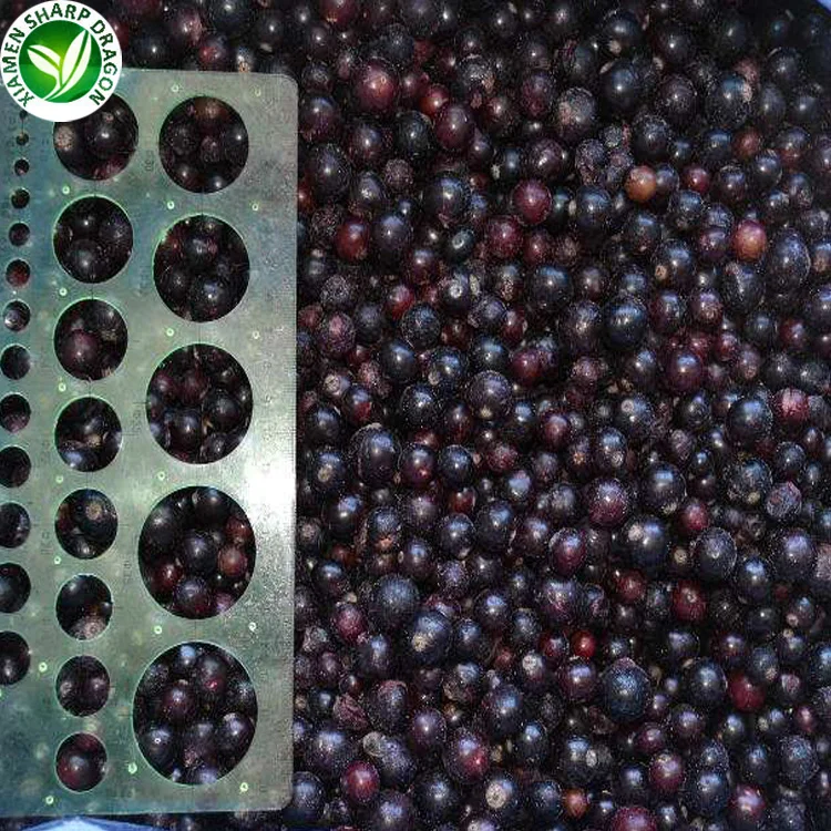 Alibaba.com: Organic IQF frozen blackcurrants, raspberries, and ...
