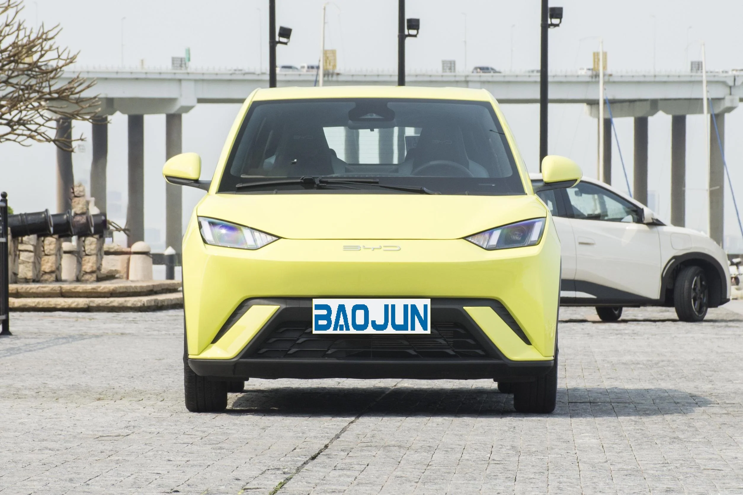 Hot Sales 2023 Byd Seagull Ev Auto Electronics Car Byd New Energy Mini ...