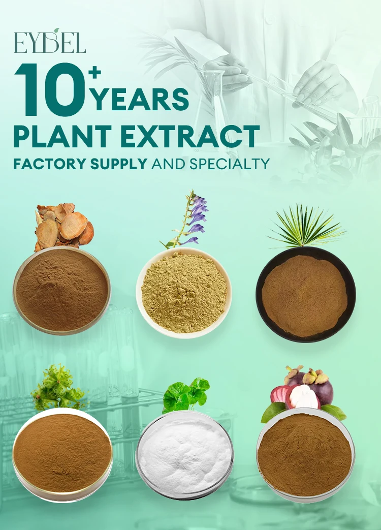 Natural Senna Leaf Extract Sennosides Powder Cassia Angustifolia Vah 10 ...