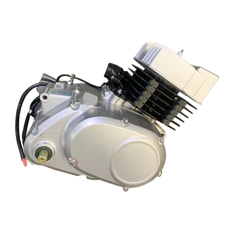 OEM Lifan 100cc Motor Engine - Single Cylinder, 2-stroke