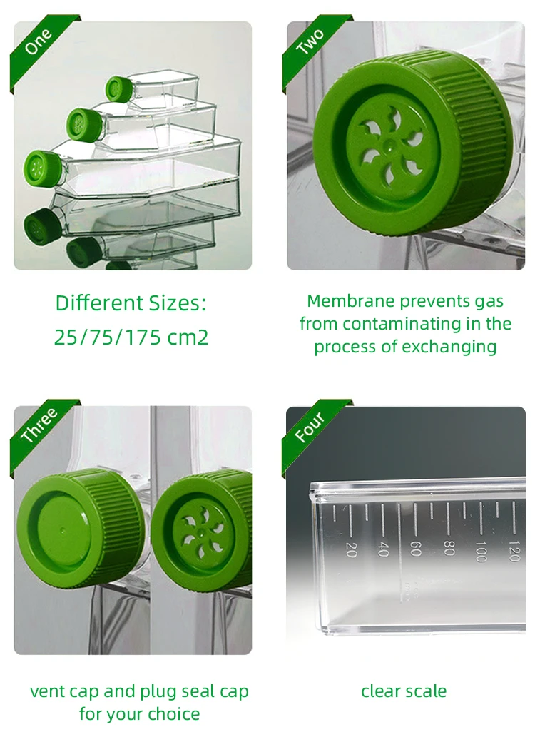 Sterile Laboratory Consumables Square Flat Bottom Conical Cell Culture ...