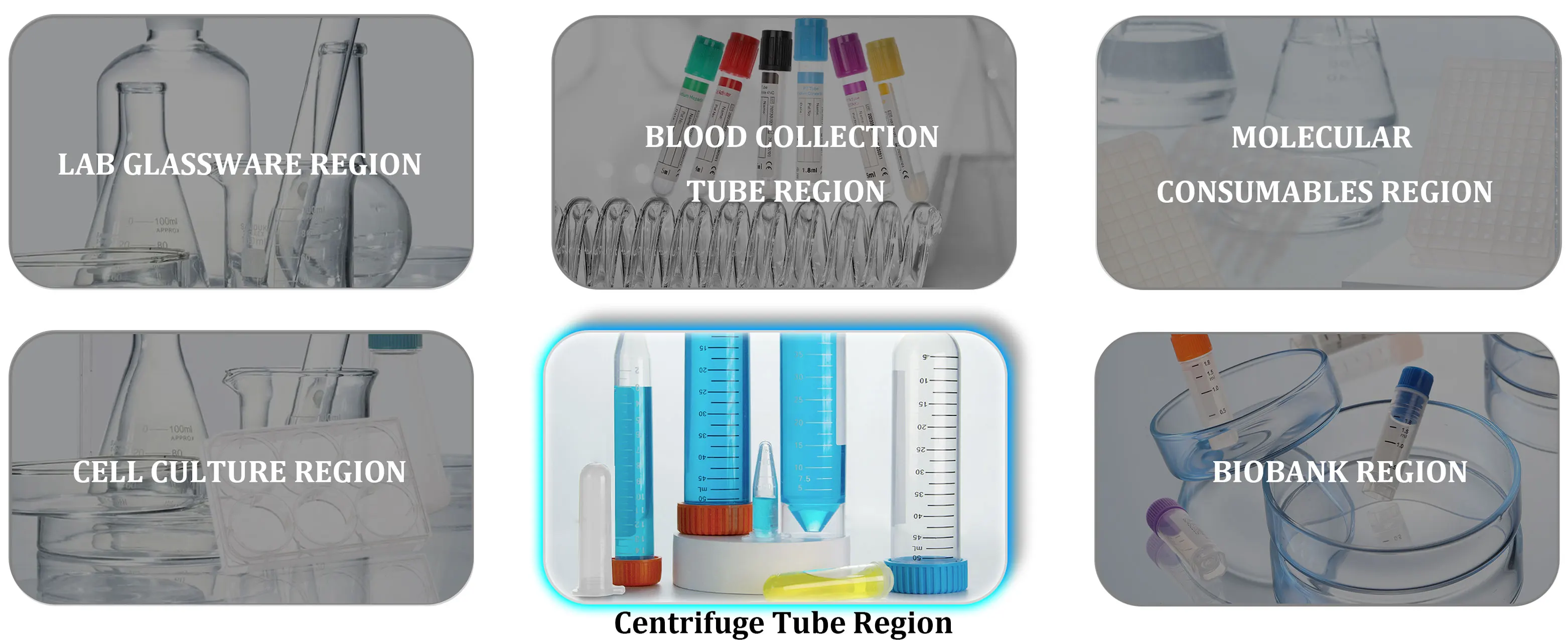 Fanen 1.5ml Clear Plastic Microcentrifuge Falcon Tube Mct Conical Micro ...