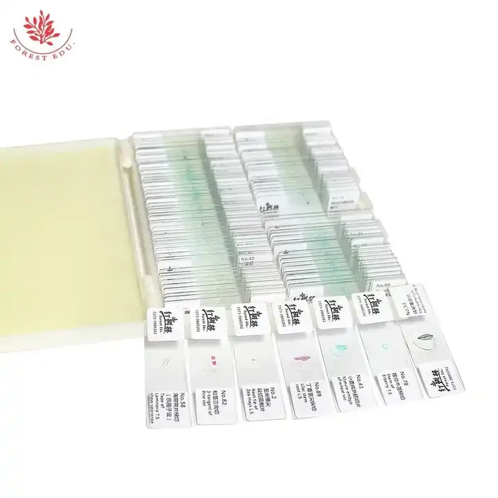 Biology Botany and Plant Tissue Prepared Slides School Teaching ...