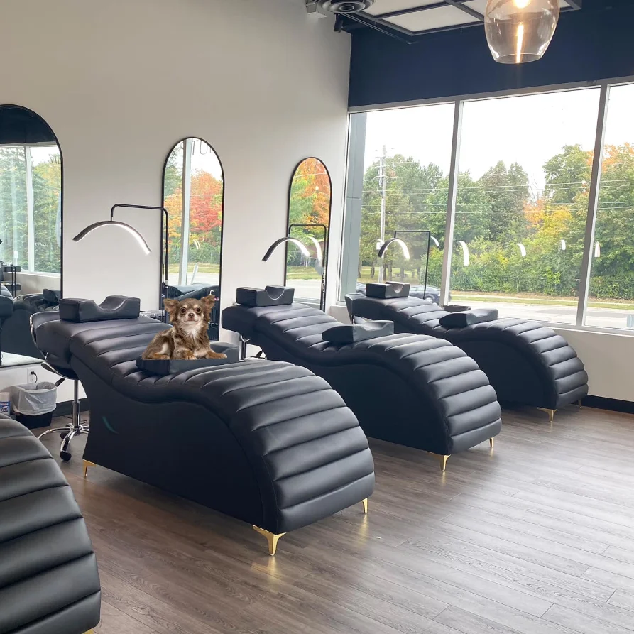 Modern New Design Eyelash Edda Custom Lash Bed Graceful Contours Boast ...