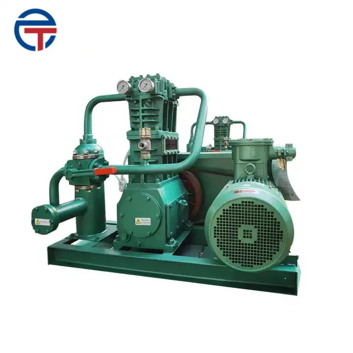 LPG CNG Liquefied Petroleum Gas Compressor - Small Biogas Compressor