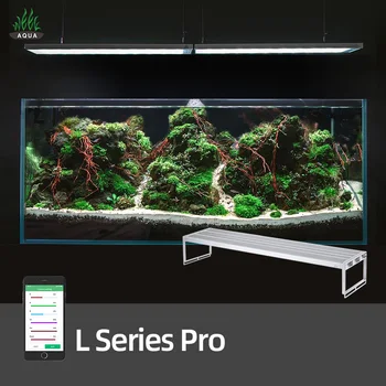 Company Overview - Zhuhai Weekaqua Technology Co., Ltd.