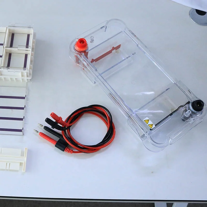 BIOBASE Horizontal Electrophoresis Tank - Gel Electrophoresis System