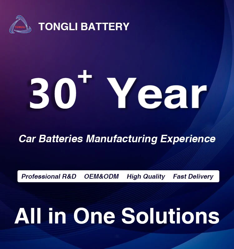 Power Brand Lead-acid Battery Jis Standard Maintenance Free Car Korean ...