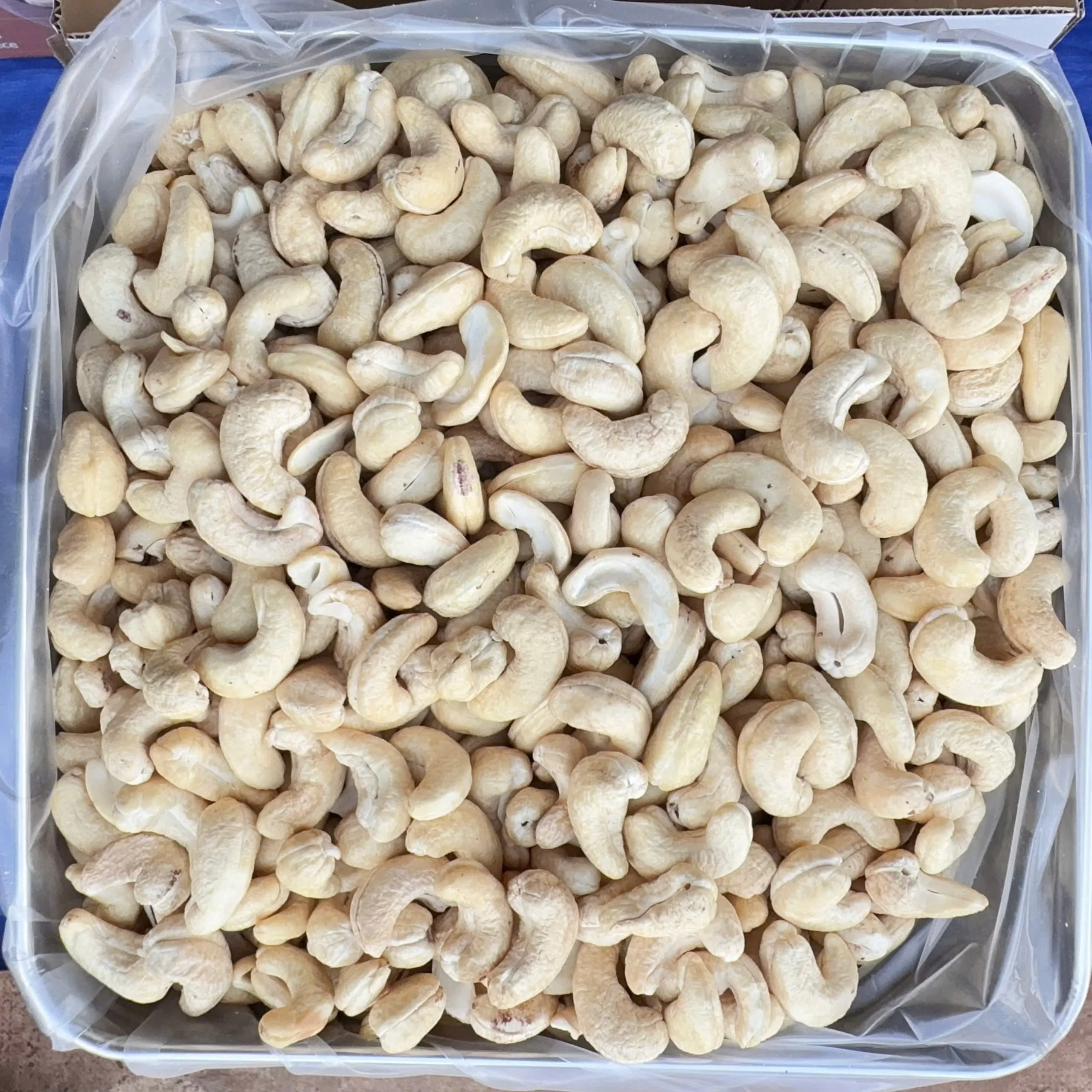 Wholesale Cashew Nuts from Vietnam - High Quality & Cheap Price