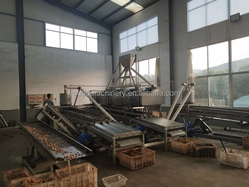 Industire Automatic Cashew Nut Processing Machinery For Shelling ...