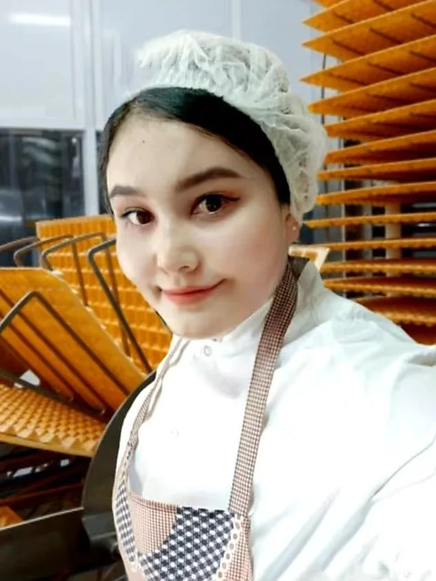 New Model of 2025 Wafer Chocolate Making Machine Automatic Wafer Making ...