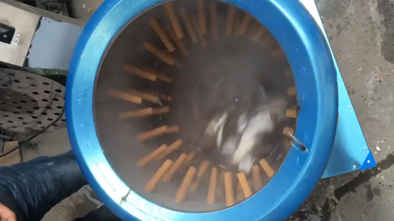 Commercial Smart Electric Automatic Poultry Feather Quail Duck Chicken ...