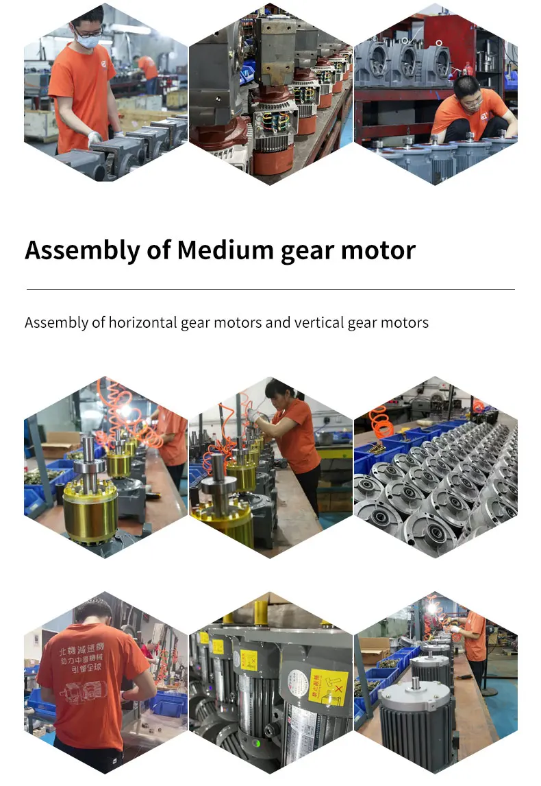 Customizable ODM Worm Gearing Arrangement Vertical and Horizontal Motor ...