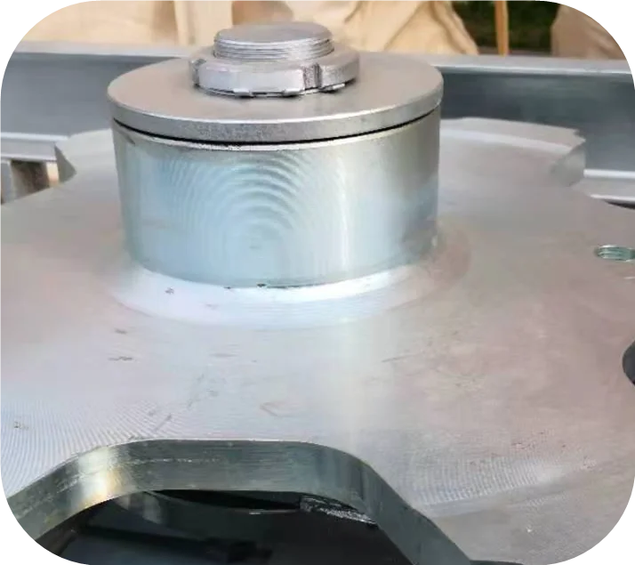 Sow Pig Abattoir Slaughtering Equipment - Efficient & Hygienic