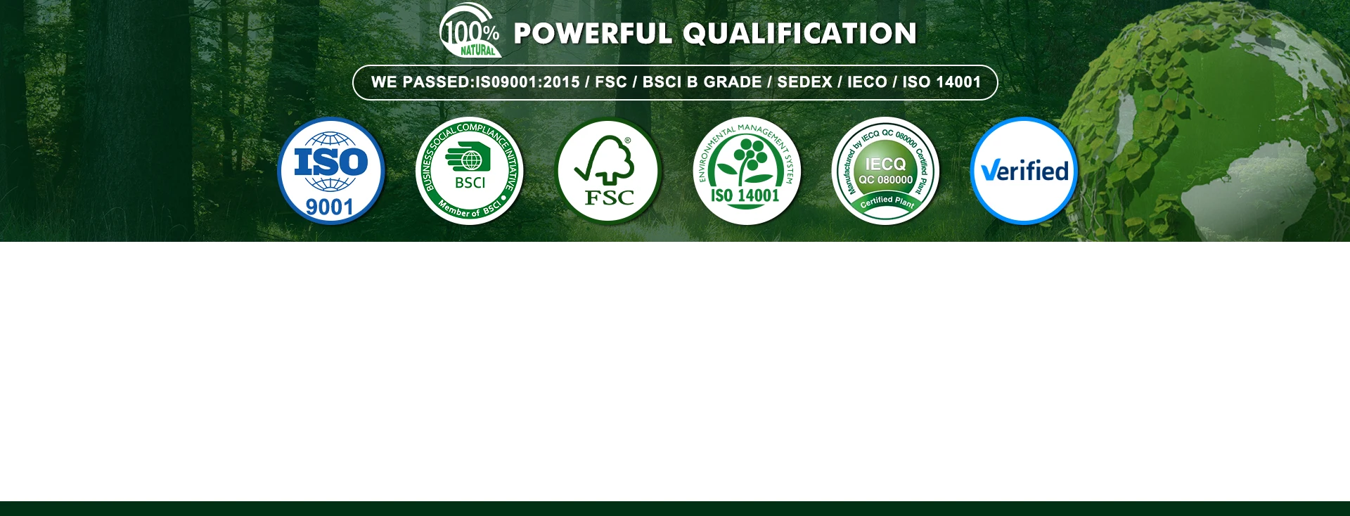 Company Overview - Guangzhou Blue Sky Packaging And Printing Products Co., Ltd.