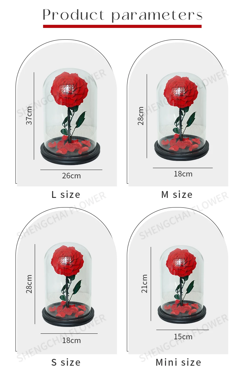 Handmade Preserved Rose in Glass Dome 100% Natural Preserved Flower ...
