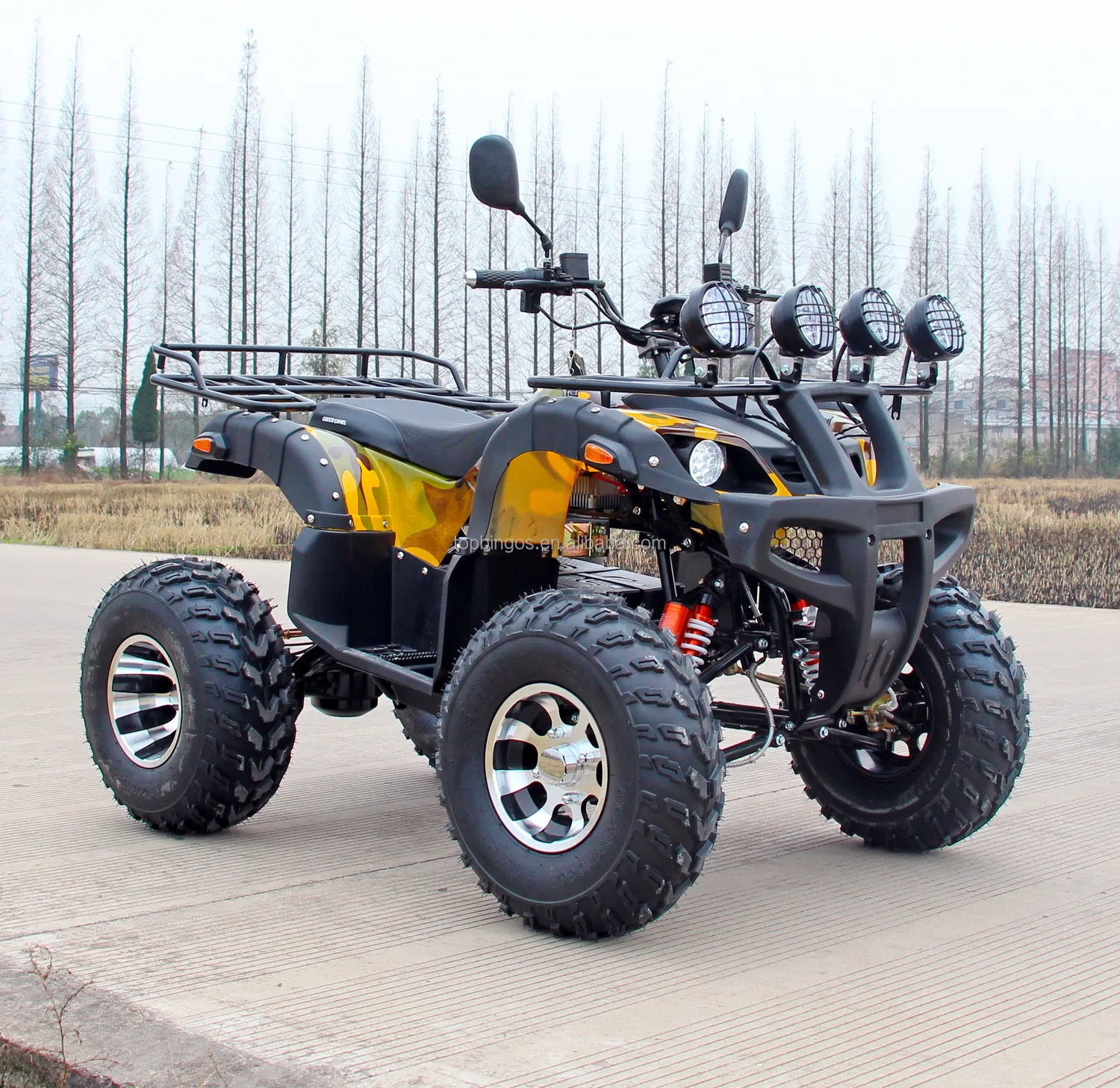 Cheap Atv 3000 Lithium Electric Quad Bikes Adult Two Seats Quadercycle ...