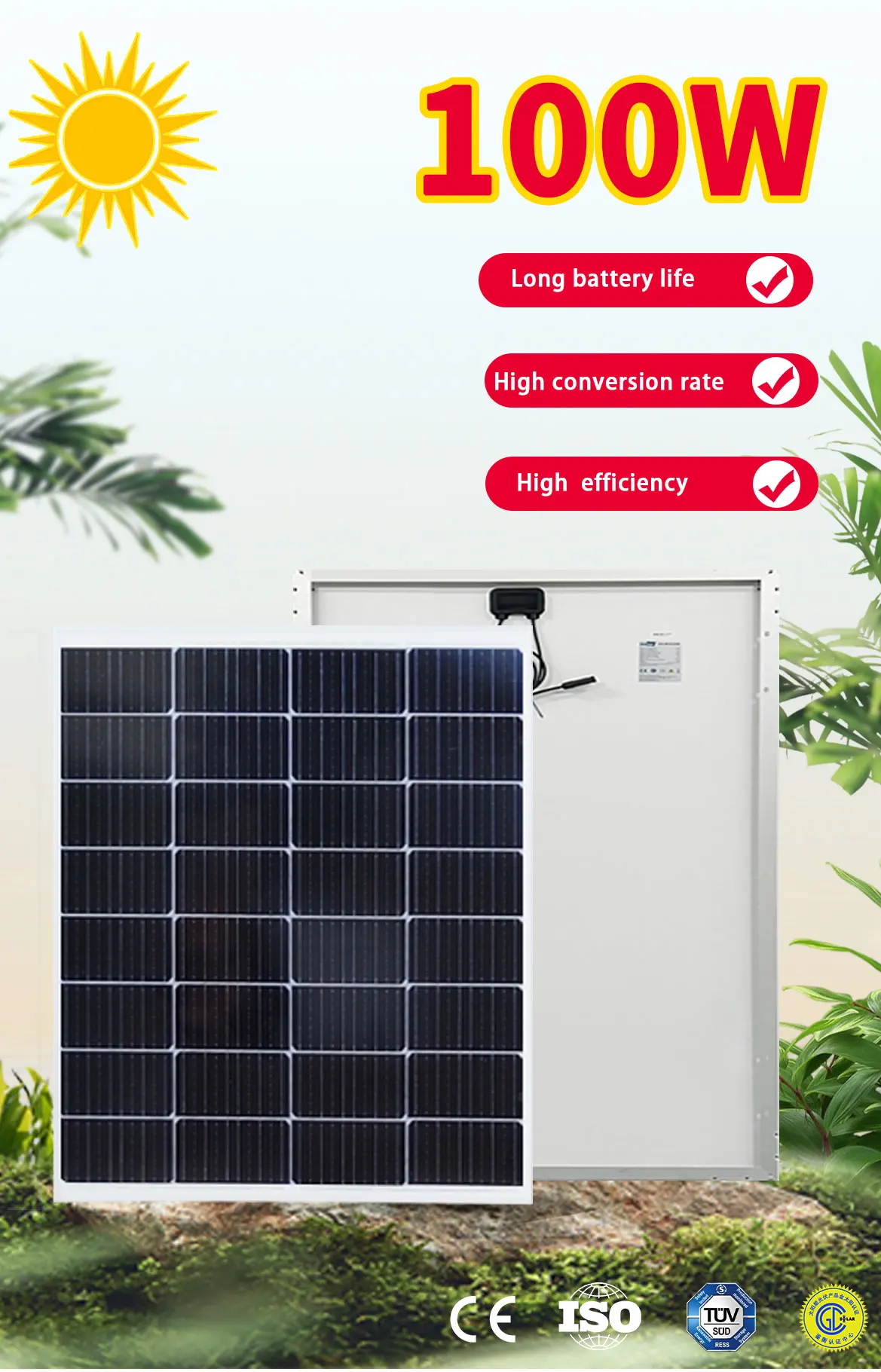 Techwise Small Solar Panel Mono Solar Pv Module 20w 30w 40w 50w 60w 80w ...