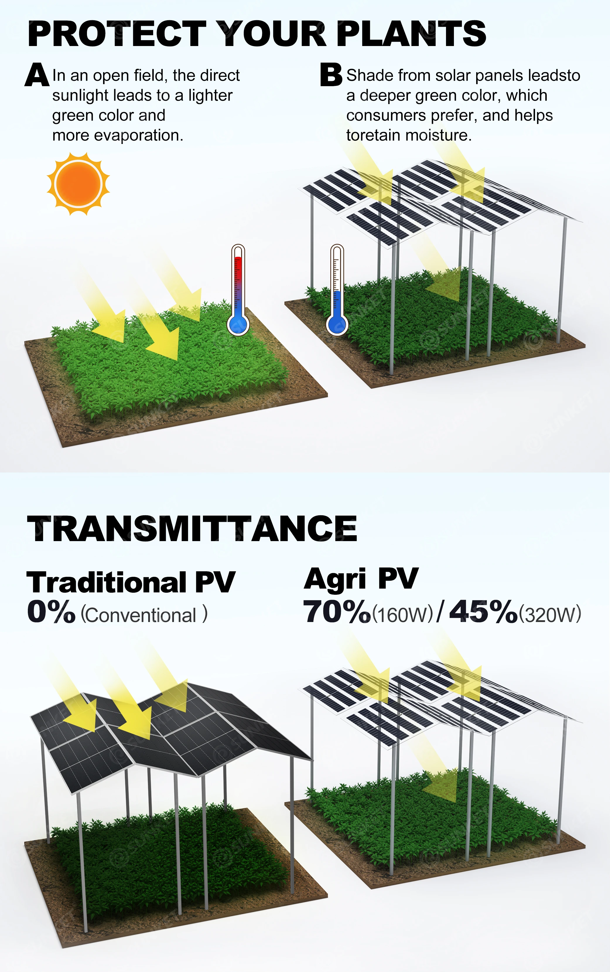 70% Transmittance Glass Farming Greenhouse Agri Pv 160w 320w Double ...