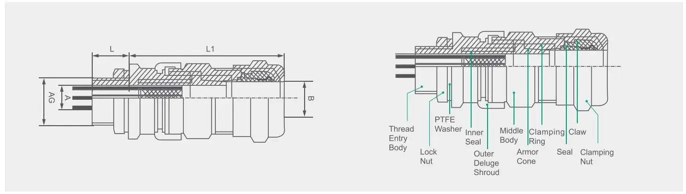 Stainless Steel Cable Gland Double Compression IECEx Wire Gland With ...