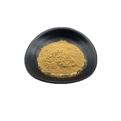 Onion Extract Powder Quercetin 10%-40% Allium Cepa Extract - Buy Allium ...