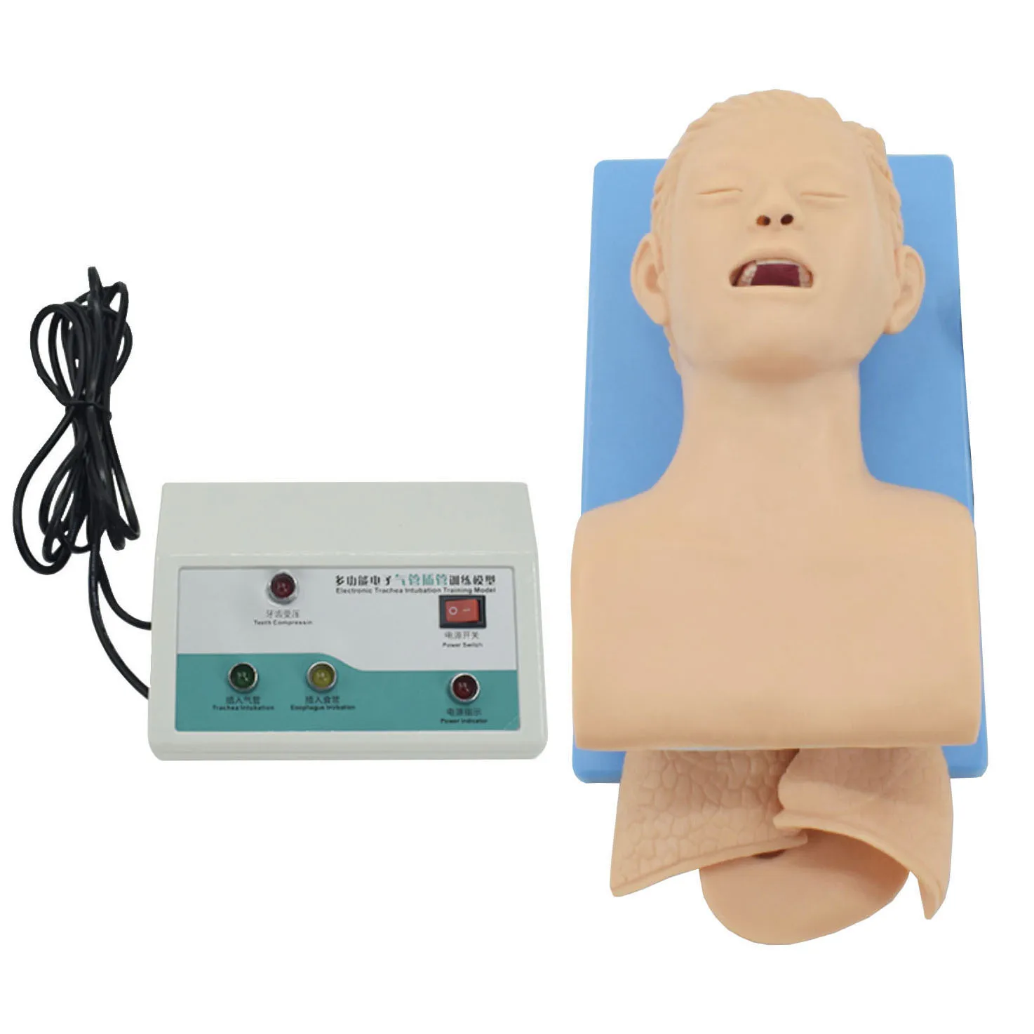 Electronic Adult Endotracheal Intubation Training Model Airway ...