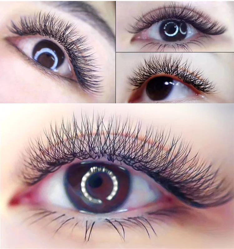 YY Clover Lashes - New Style W Shape 3D WW Lash Extensions