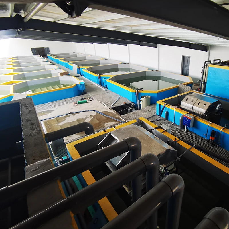 Aquaculture Ras System Salmon Aquaculture Ras for Aqua Fish Farming