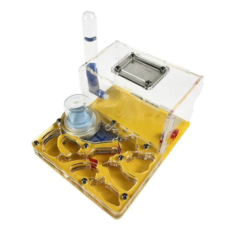 Luxury Ant Nest Tube Farm Formicarium Acrylic Ant Farm House| Alibaba.com