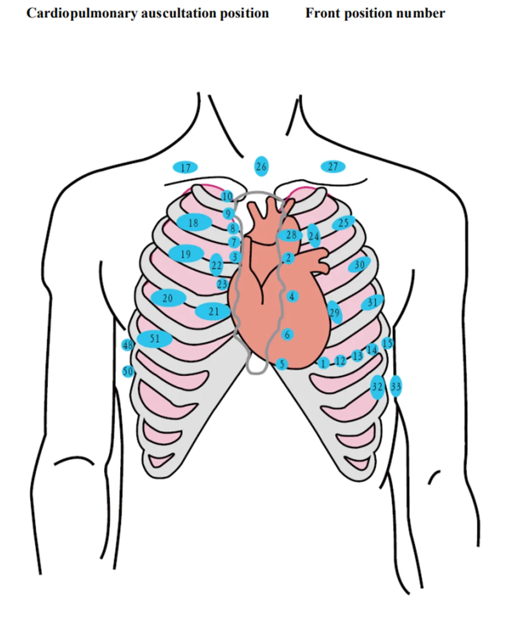 Digital Remote Controlled Cardiopulmonary Auscultation Simulator