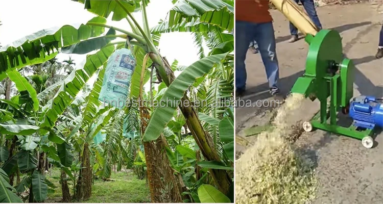 Palm Oil Cutter Palm Pruning Shear Cutting Machine Palm Oil Harvester ...