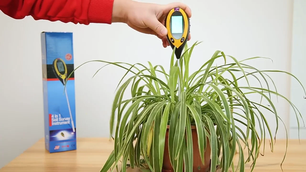 Digital Fruit Firmness Tester Fruit Penetrometer For Fruit Company ...