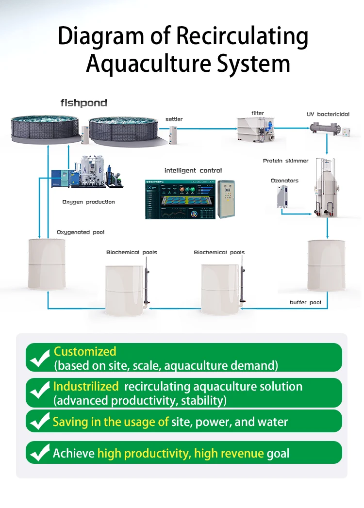Wholesale Complete Indoor Ras Fish Farming System Design