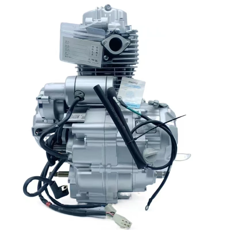 Zongshen 200cc Air-Cooled Engine Assembly for Motorcycle & OEM Parts