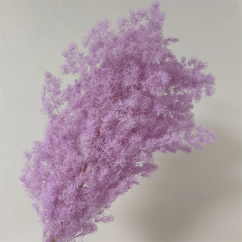 High Quality Natural Ming Fern Preserved Asparagus Myriocladus Flowers ...
