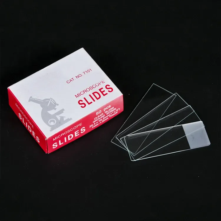 Parasites Prepared Microscope Glass Slides 7109 With Box No Plastic ...