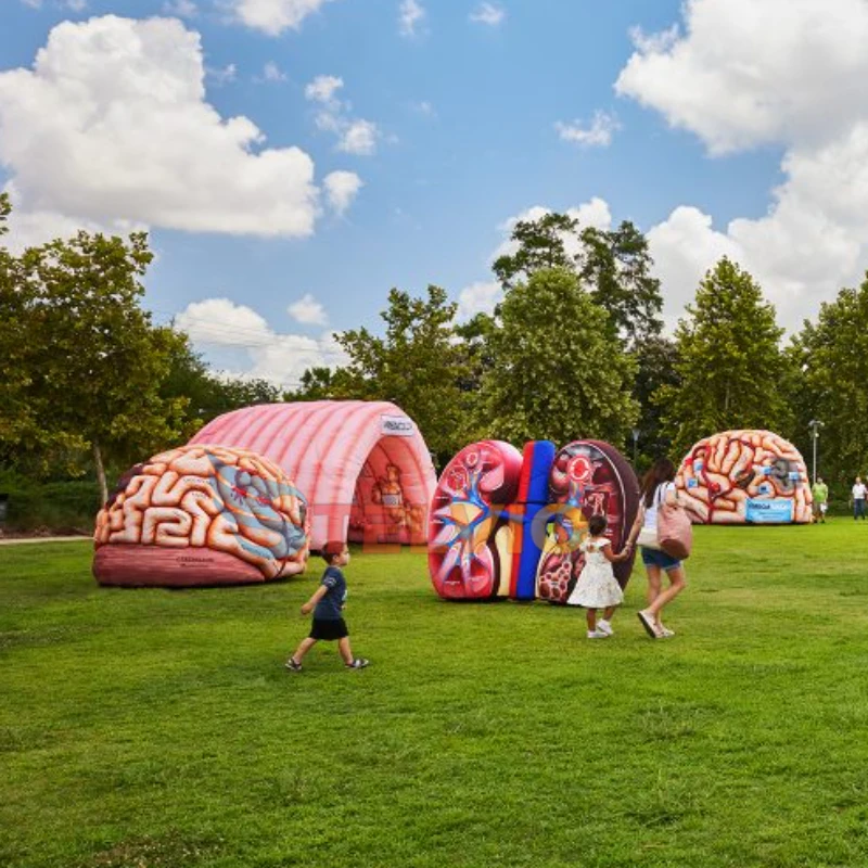 Inflatable Giant Brain Heart 3D Model - Medical Inflatables