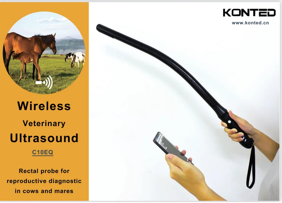 Wireless Veterinary Ultrasound Probe for Reproductive Diagnostics