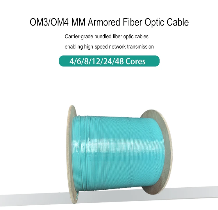10Gb Multimode OM3/OM4 Outdoor Armored Fiber Optic Cable 2/4/6/8/12/24 ...