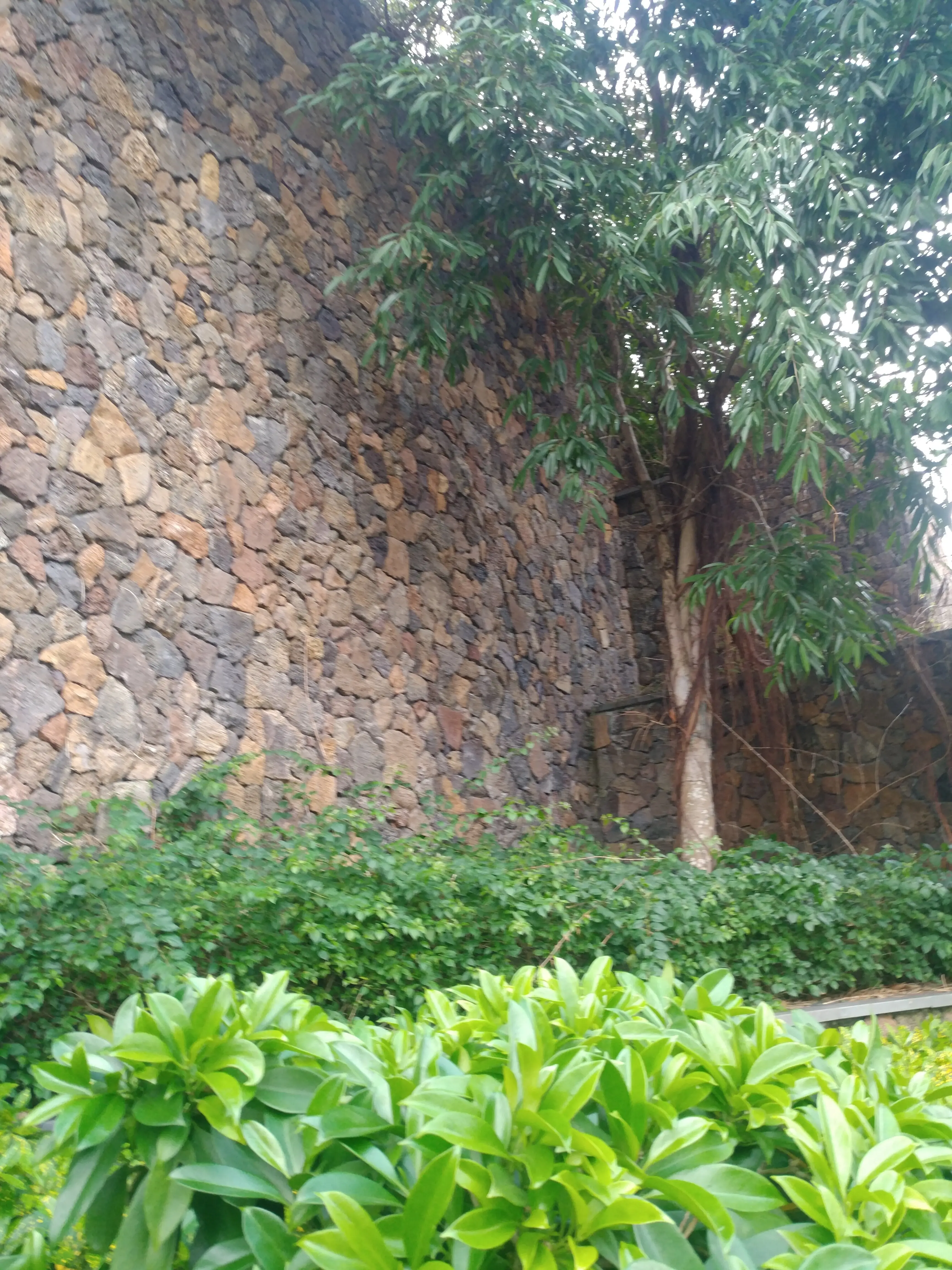 Natural Basalt Lava Stone Wall Cladding Tiles for Outdoor