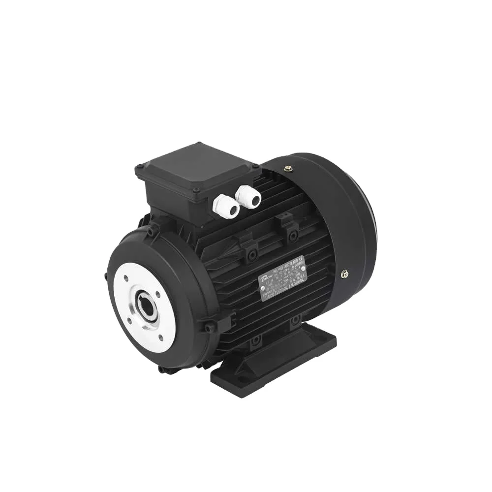 Female Hollow Shaft Electric 4kw/5.5hp Motor Three Phase For High ...