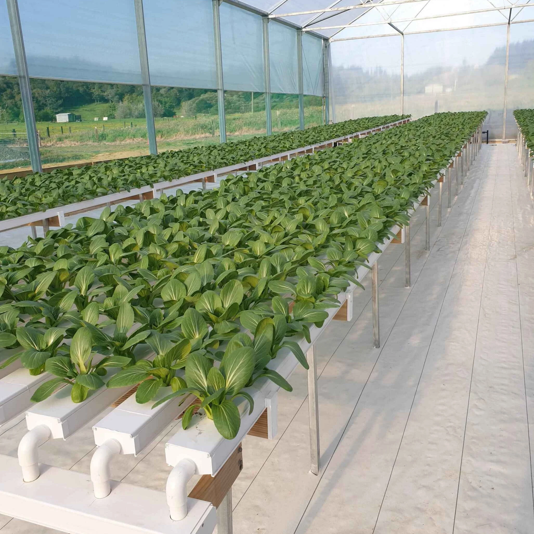Hydroponic Mesh Vegetable Planting Basket Soilless Cultivation Plastic ...