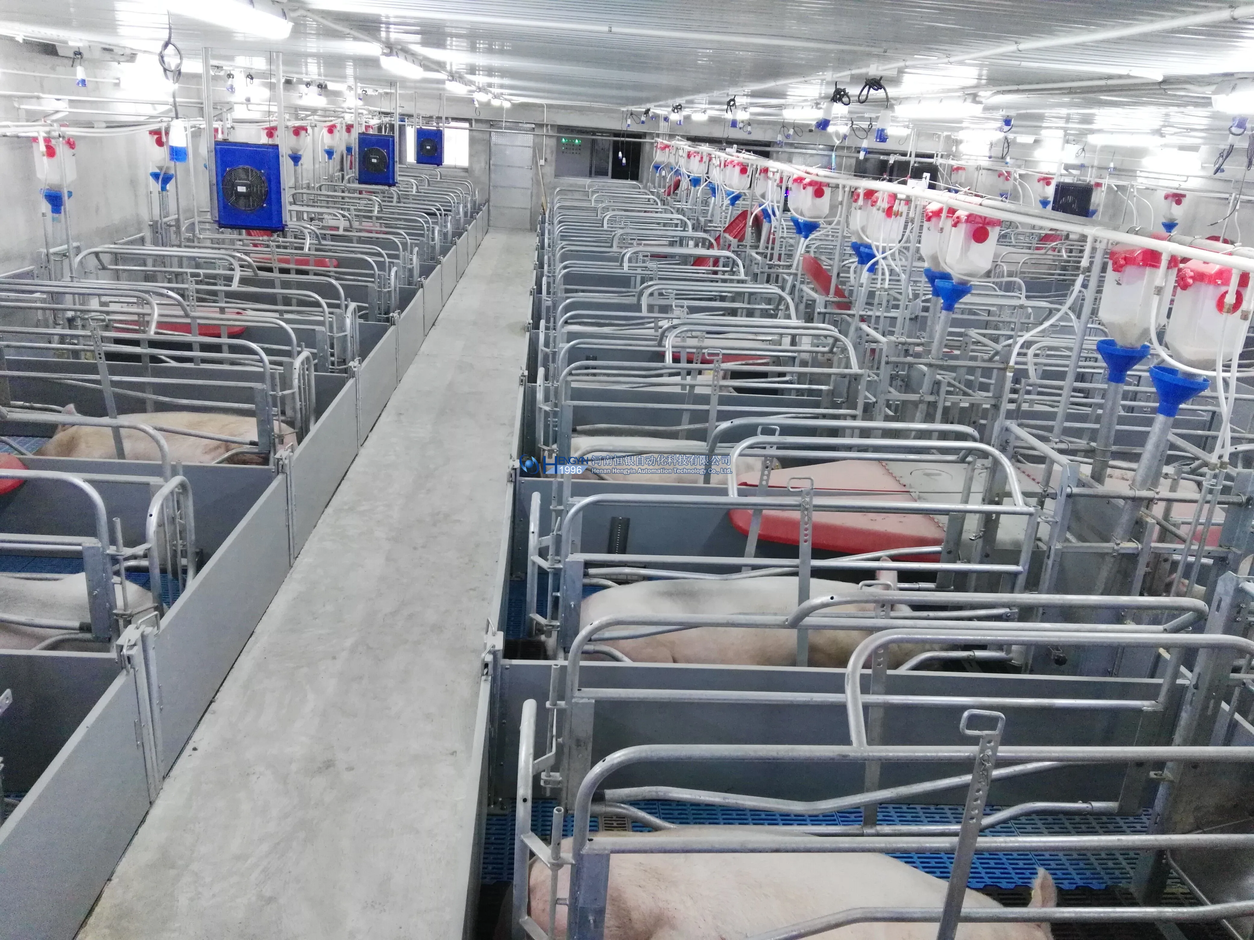 Piggery House Design Pig Pvc Fence Pen 2.4*1.8m Pig Gestation Pen - Buy ...