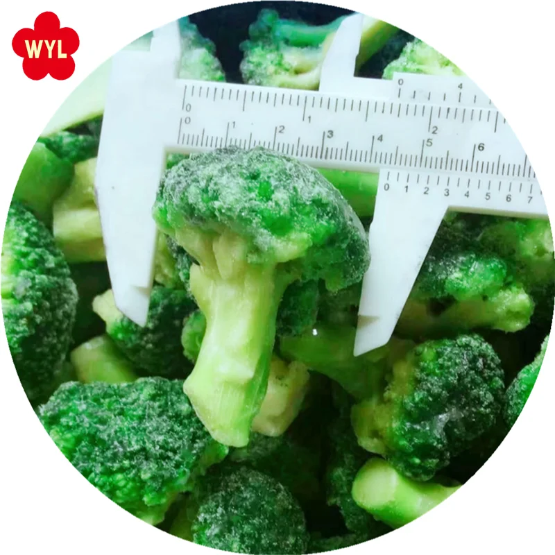 High Quality IQF Frozen Broccoli Wholesale and Retail Availability ...