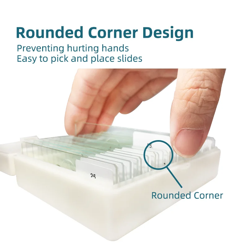 50 Pieces Set Botany Slides Microtome Paraffin Section Microscope ...