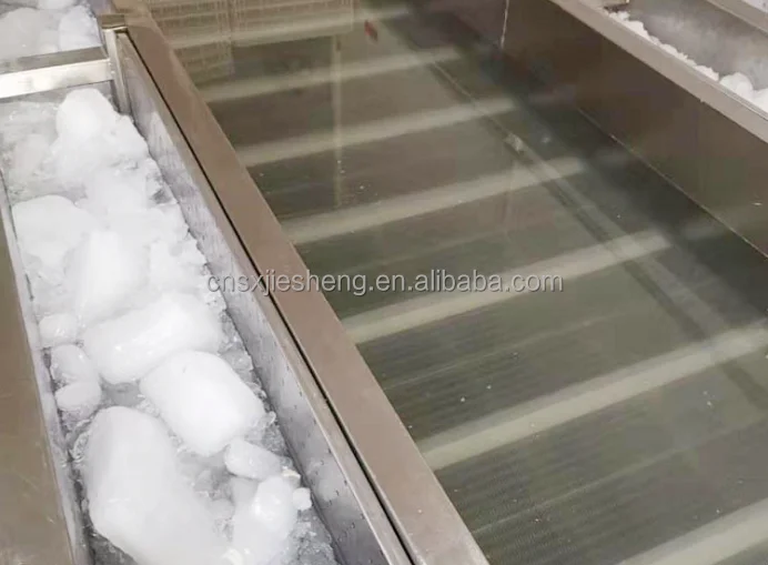 Fish And Shrimp Ice Coating Machine Shrimp Ice Glazing Equipment Ice ...