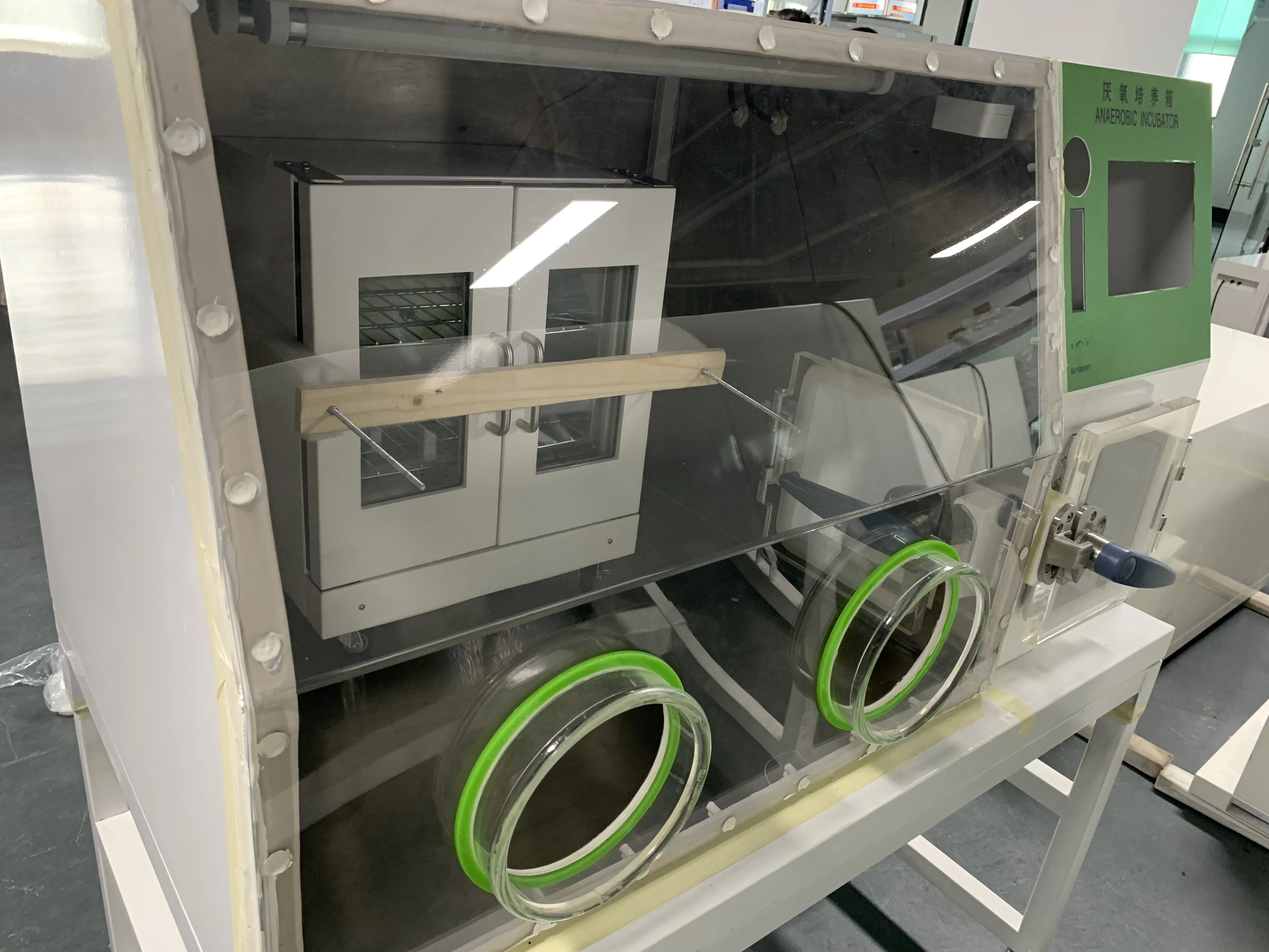 Lai-3t High Quality Incubator Laboratory Medical Bacteria Incubator ...