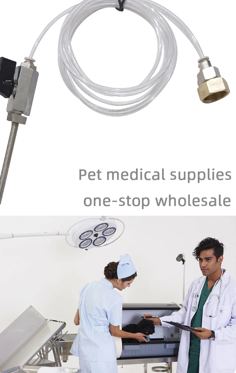 Faecal Macerator Pet Dog Intestinal Cleansing Professional Wholesale ...